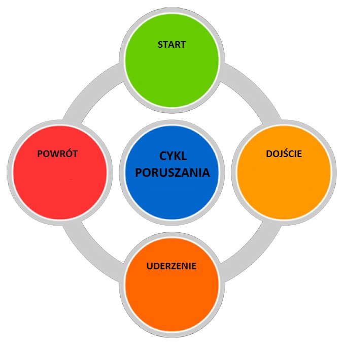 Blog o tenisie i pickleballu – porady, recenzje, nowości